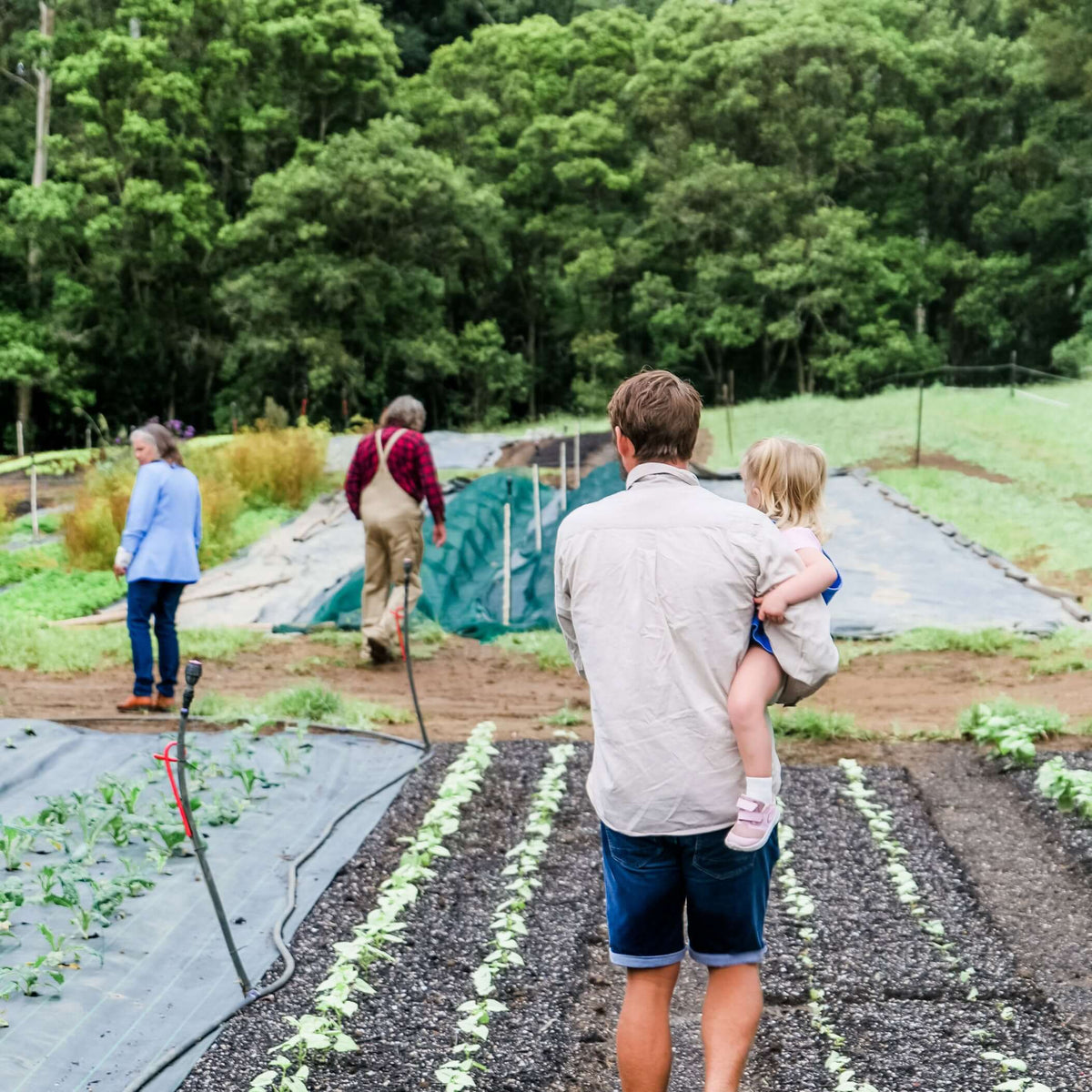 Market Gardening Australia - It’s Been Hard…
