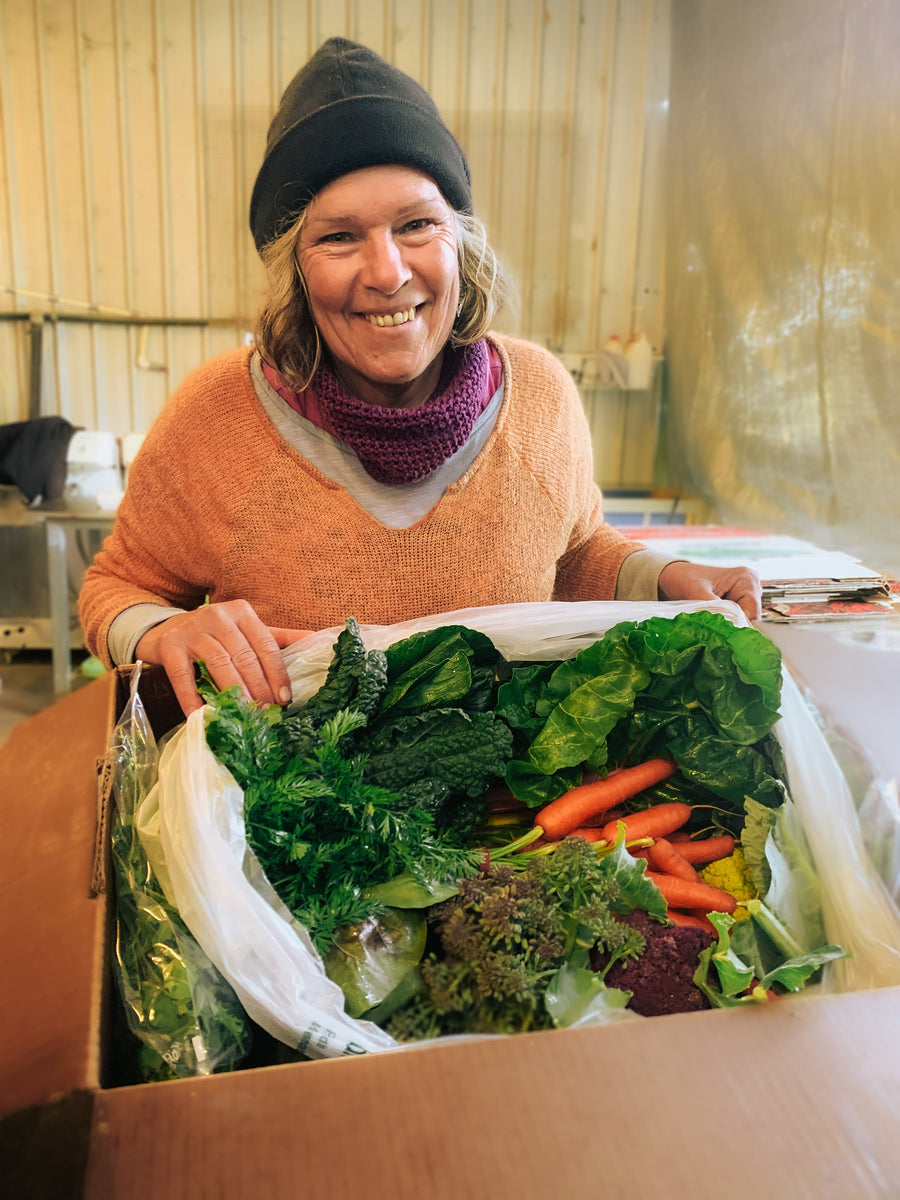 Farm Update- Post Wild Weather