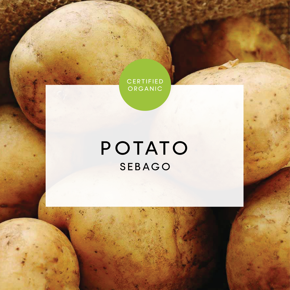 Potato Sebago 1kg - (Bio Farm - TAS)